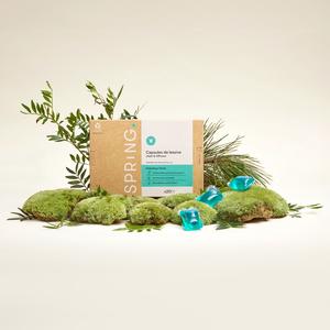 Acheter Spring Capsules de lessive clean et efficace Fraîcheur verte