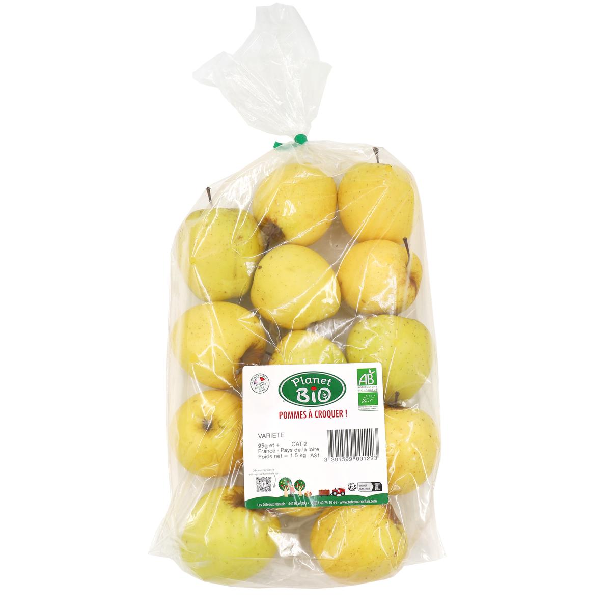 Livraison à domicile Planet Bio Pomme jaune bio, Sachet de 1,5 kilos